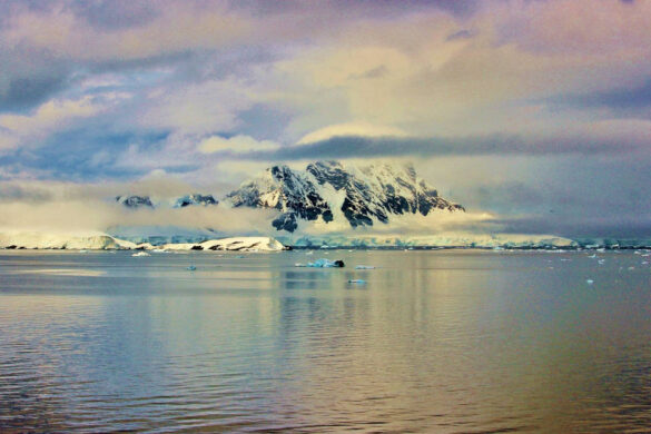 Diferențele dintre emisfera nordică și emisfera sudică - Info Natura
