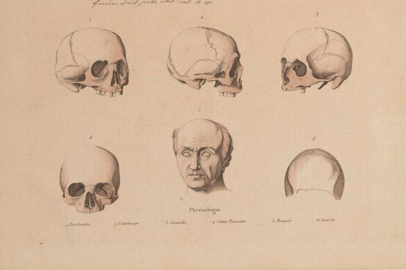 Cum au evoluat oamenii - un scurt istoric - Info Natura