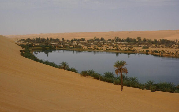 Deșertul Sahara, cel mai mare deșert fierbinte din lume - Info Natura