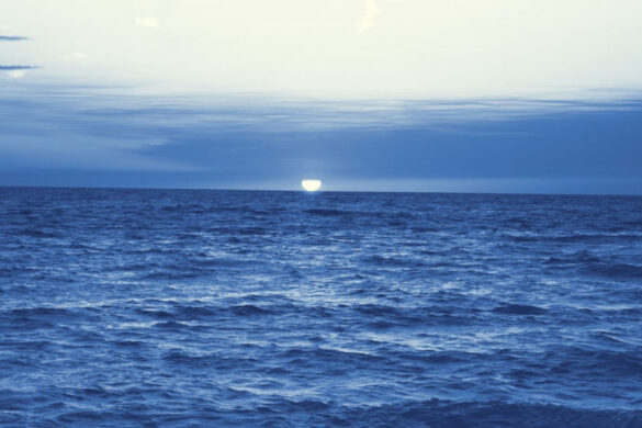 Oceanul Pacific, cel mai mare ocean de pe planeta noastră - Info Natura